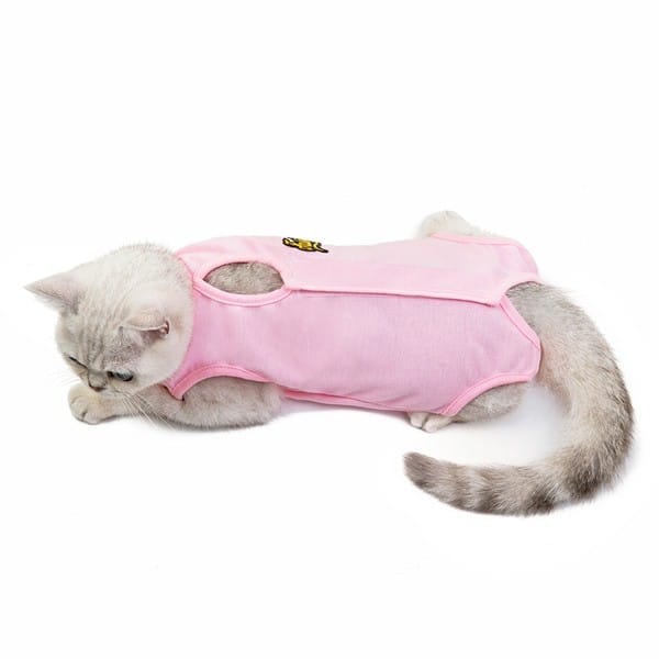 Cat Recovery Body Wraps | Pet Harness,Pet Boots,Pet Carriers Manufacturer