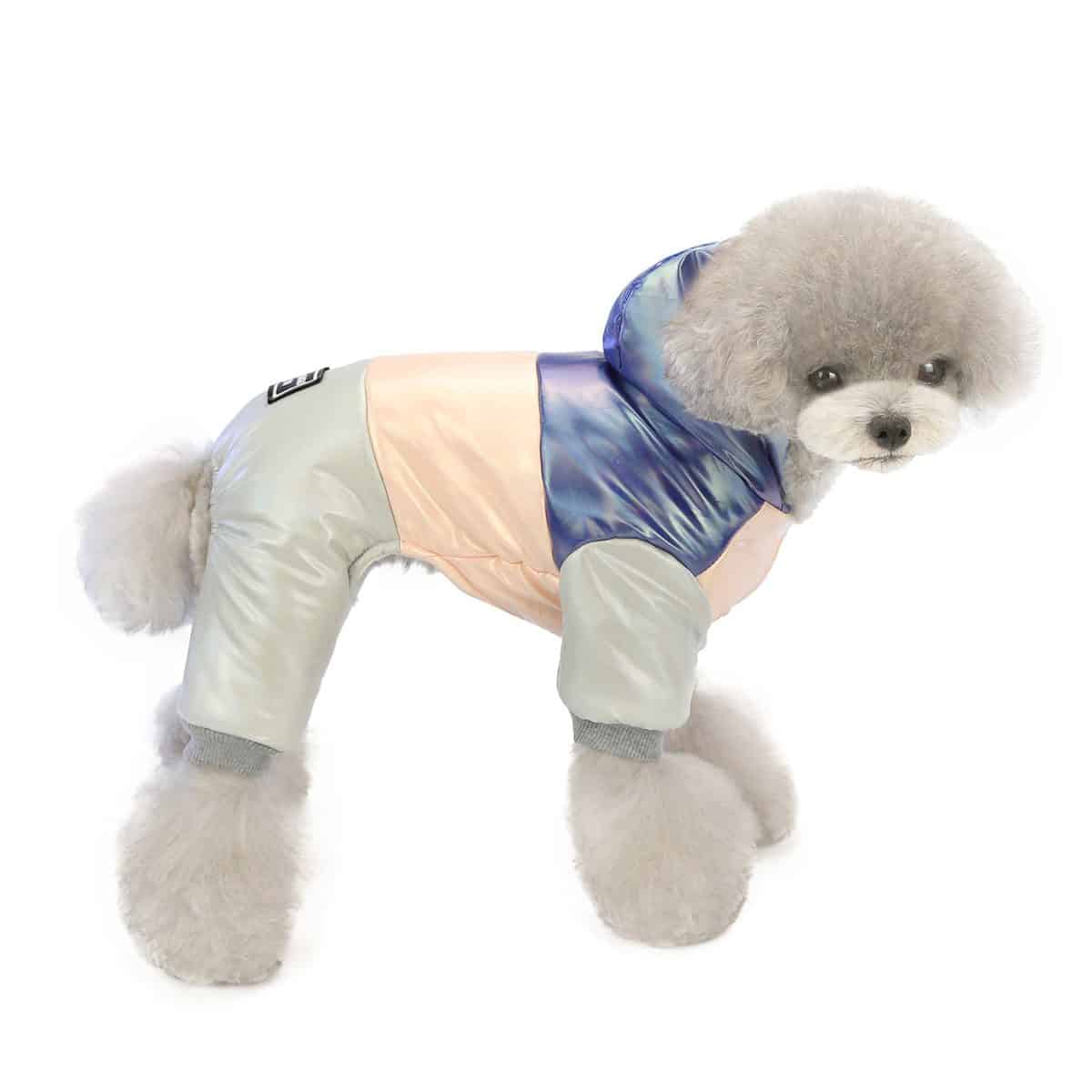 Small Dog Clothes Designer Four-legged Warm Winter Luxury Colorful ...